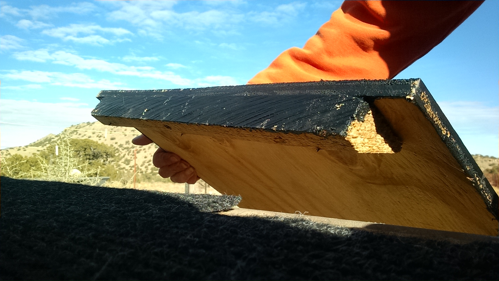 How to build a dog ramp – Sarah Leamy, MFA